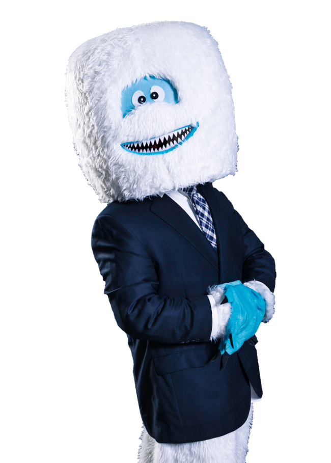 Acumatica + Stripe Integration